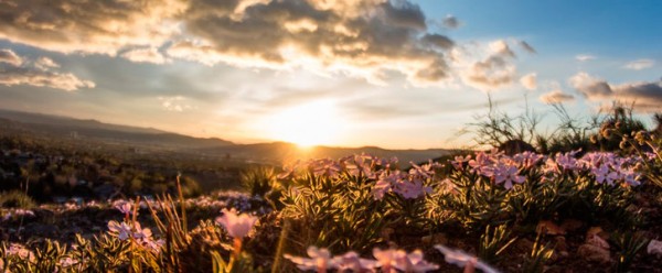 FRASES DO LAIR RIBEIRO - Refletir para Refletir