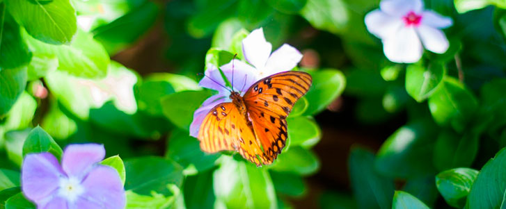 TEXTOS GRANDES - Refletir Para Refletir - Refletir para Refletir